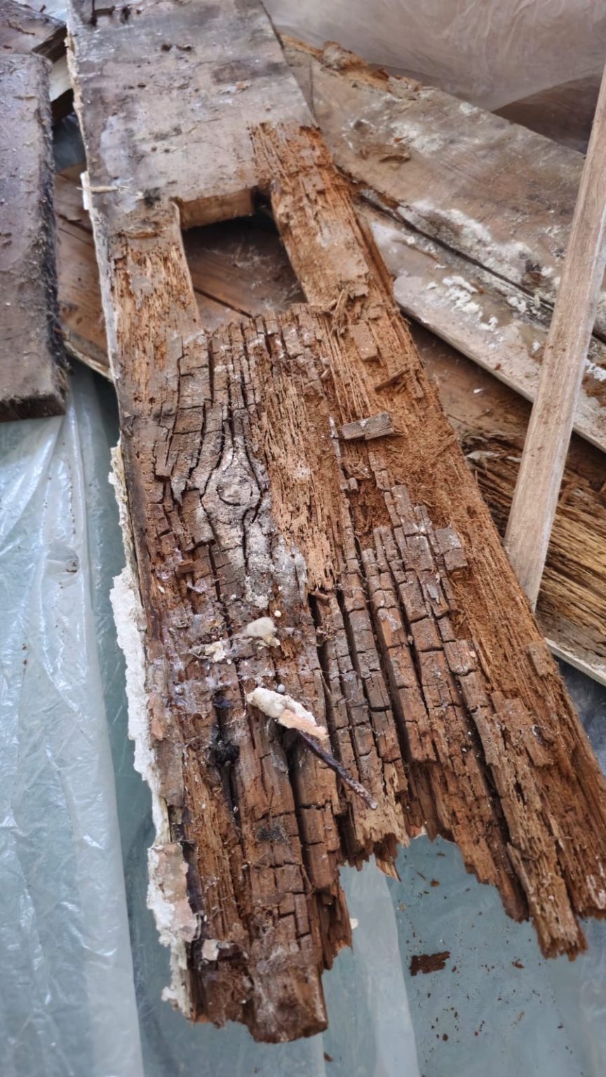 How to Identify the Early Signs of Wet Rot and Dry Rot - DampHQ