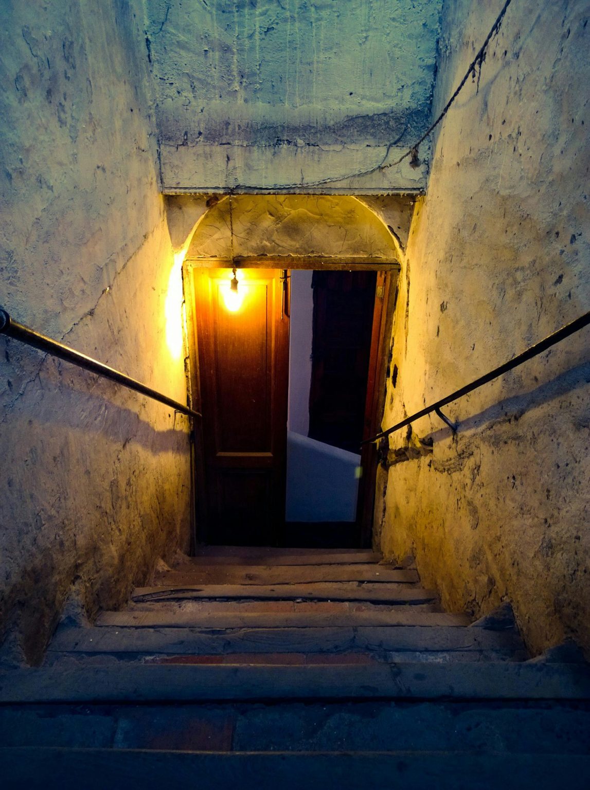 Dry Rot vs Wet Rot: How to Identify and Treat Them
